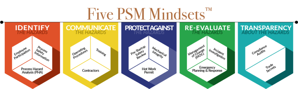 Five PSM Mindsets™ - Provenance Consulting